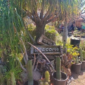 CALIFORNIA CACTUS RANCH - Updated December 2025 - 350 Photos & 91 ...