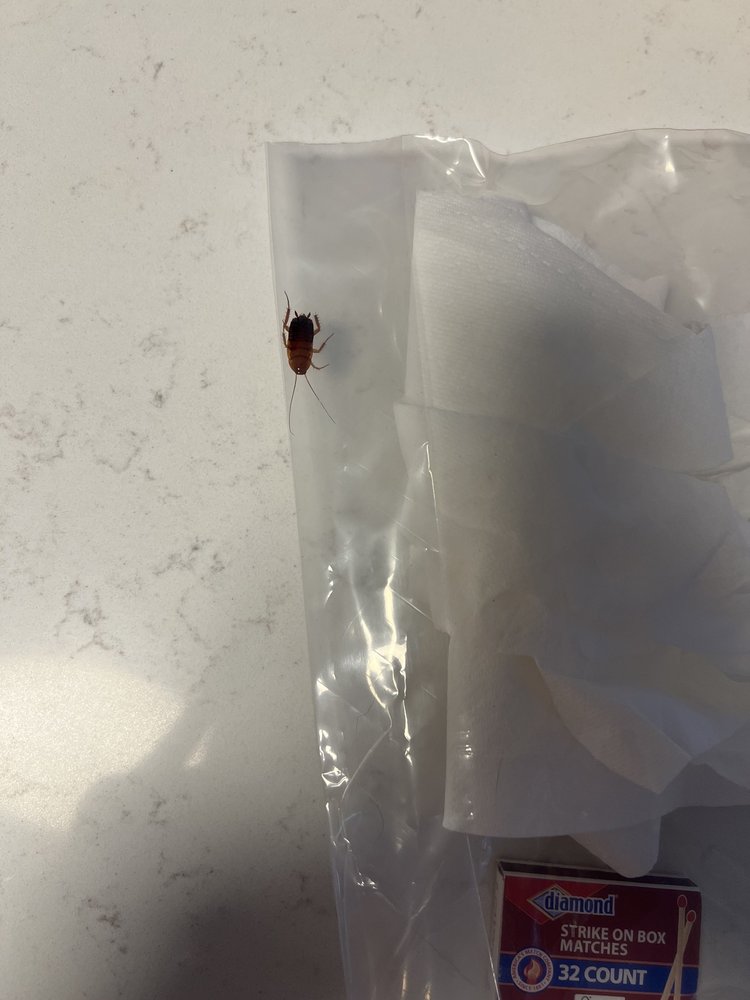 BRIDGEPORT COAST APARTMENTS - 24 Photos & 46 Reviews - 24100 Newhall ...