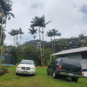 TOP NOTCH AUTOMOTIVE - Updated July 2025 - 10 Photos & 16 Reviews - 430 ...