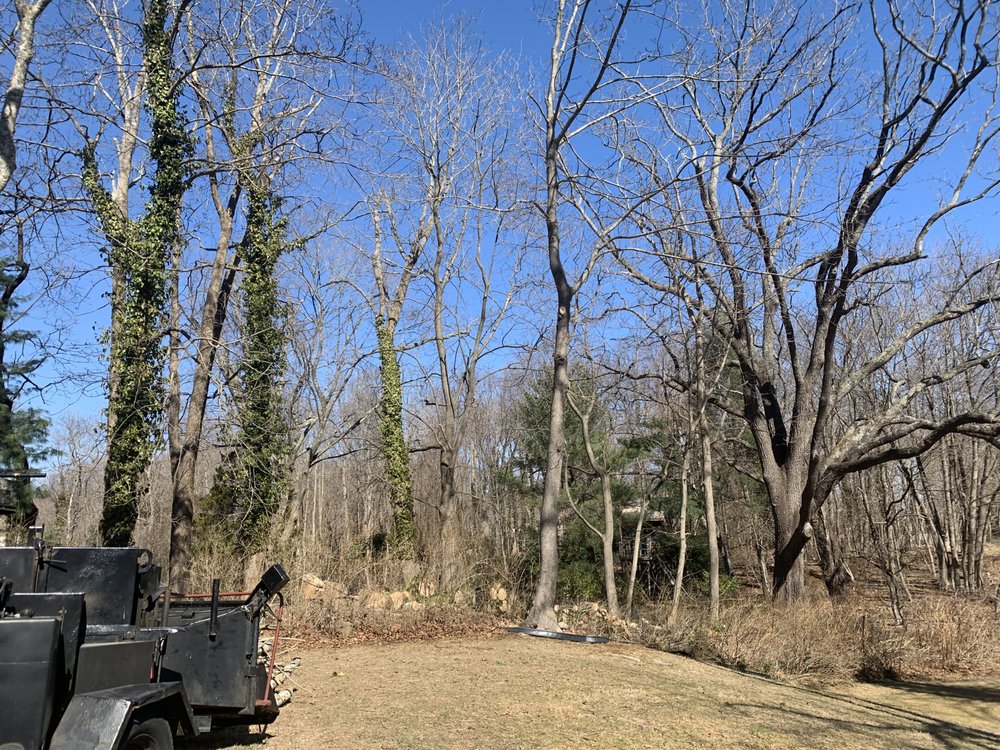 D&R TREE AND LAWN SERVICE’S - Updated October 2025 - Request a Quote ...