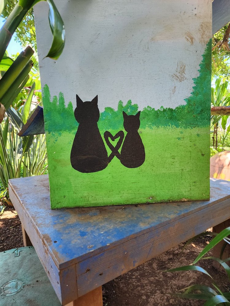 SURF CAT RANCH - MAUI CAT SANCTUARY - Updated November 2025 - 13 Photos ...