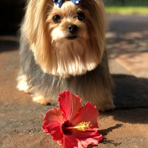 STEVENS ANIMAL HOSPITAL - Updated December 2025 - 31 Photos & 63 ...