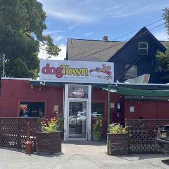 DOGTOWN - Updated July 2024 - 555 Photos & 827 Reviews - 691 Monroe Ave ...