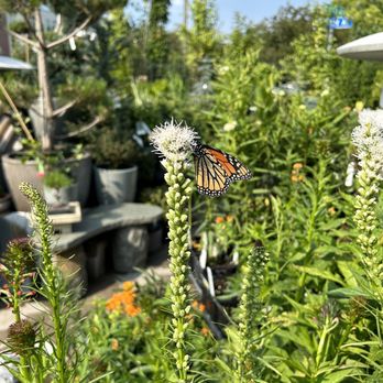 TANGLETOWN GARDENS - Updated December 2025 - 39 Photos & 37 Reviews ...