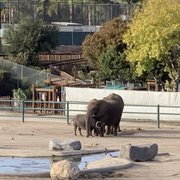 VISION QUEST RANCH - 790 Photos & 291 Reviews - Bed & Breakfast - 400 ...