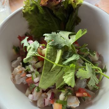 CABO WABO - Updated February 2025 - 895 Photos & 482 Reviews - Col ...