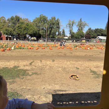 BISHOP’S PUMPKIN FARM - Updated October 2024 - 987 Photos & 538 Reviews ...