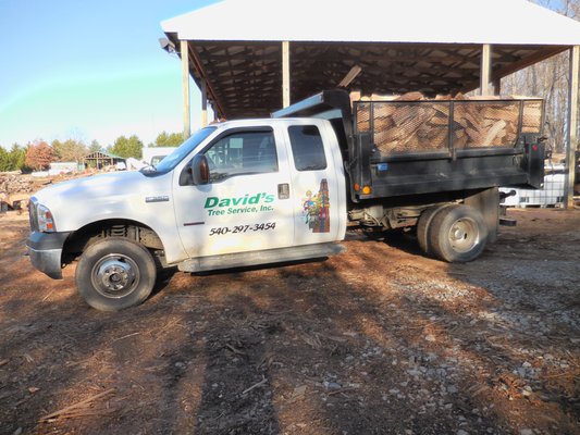 DAVID’S TREE SERVICE - Updated October 2025 - 21 Photos - 7315 Bishop ...