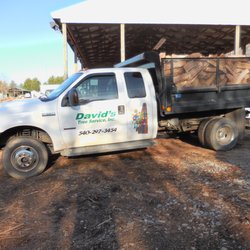 Best Tree Services Near Me - September 2025: Find Nearby Tree Services ...