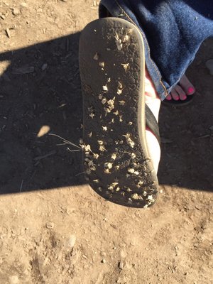 THE CORLEY RANCH - 24 Photos & 10 Reviews - 859 US Hwy 395 N ...