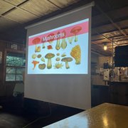 LEN FOOTE HIKE INN - 89 Photos & 31 Reviews - 280 Amicalola Falls State ...