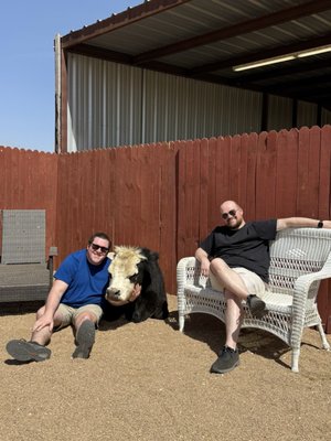 CALVARY FARMS - Updated December 2025 - 29 Photos - 4231 Stuart Rd ...