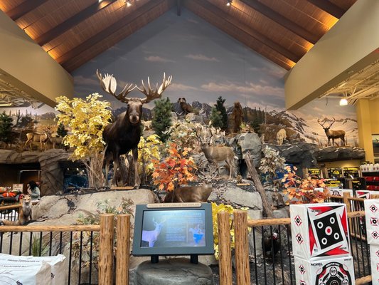 CABELA’S - Updated December 2025 - 76 Photos & 98 Reviews - 1100 ...