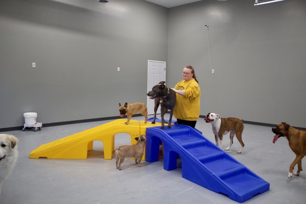 POOCH PALACE RESORT - Updated January 2026 - 16 Photos & 12 Reviews ...