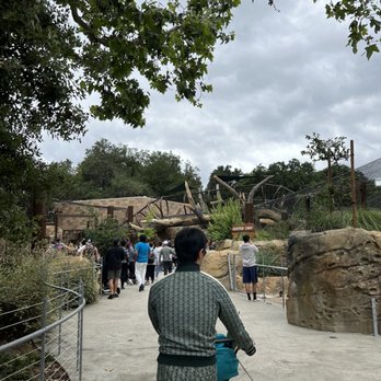 ORANGE COUNTY ZOO - Updated August 2024 - 1349 Photos & 377 Reviews - 1 ...