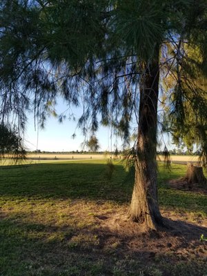 DAVIS MUNICIPAL GOLF COURSE - 22 Photos & 37 Reviews - 24439 Fairway Dr ...