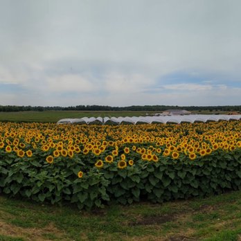 NELSON PRODUCE FARM - Updated July 2025 - 163 Photos & 24 Reviews ...