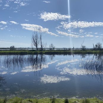 MERCED NATIONAL WILDLIFE REFUGE - Updated December 2025 - 119 Photos ...