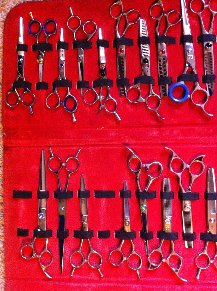 SHEAR EXCELLENCE - Updated December 2025 - Naples, Florida - Hair ...