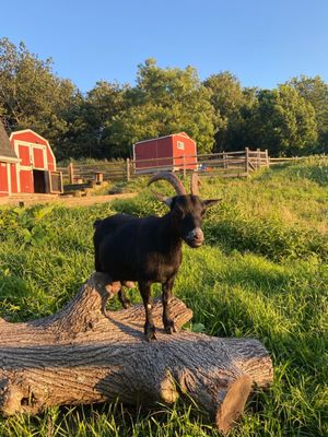 NORMAN J LEVY PARK & PRESERVE - 384 Photos & 51 Reviews - Parks - 1600 ...