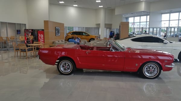 ROCKWALL FORD - Updated January 2026 - 39 Photos & 185 Reviews - 990 ...