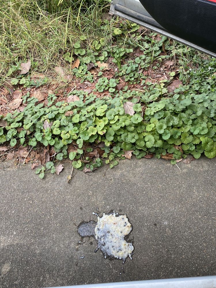 CHICOT HIBACHI EXPRESS NORTH HILLS - Updated September 2025 - 29 Photos ...