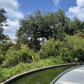 LONG KEY NATURAL AREA & NATURE CENTER - Updated February 2025 - 300 ...