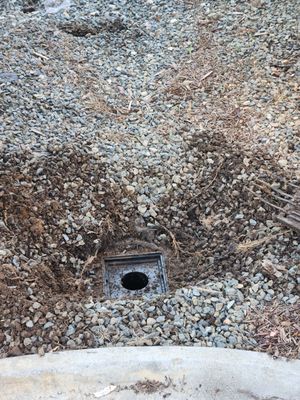 DUTCH DRAIN - Updated August 2025 - 18 Photos - 4326 Navajo Ave ...