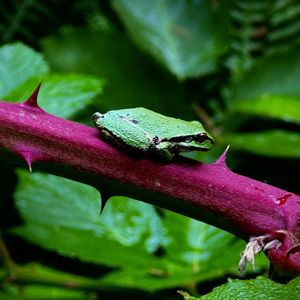 LAKE TRASK TIMBER TRAILS ASSOCIATION - Updated September 2025 - 15 ...