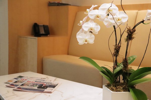 SLATER VECCHIO - Updated January 2026 - 18 Photos - 777 Dunsmuir Street ...