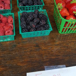 TENDERCROP FARM - Updated January 2025 - 10 Photos & 30 Reviews - 93 ...