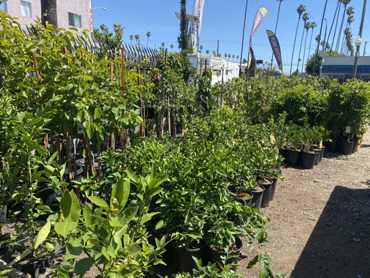 AAL MATERIALS - 19 Photos - 2901 W Jefferson Blvd, Los Angeles ...