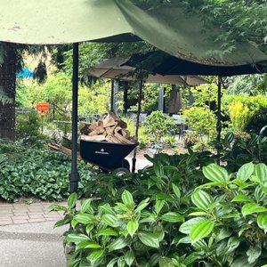 MCMENAMINS ANDERSON SCHOOL - 673 Photos & 668 Reviews - 18607 Bothell ...