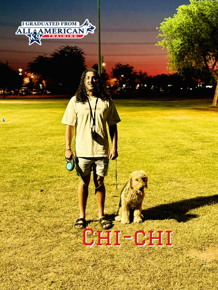 ALL-AMERICAN K-9 DOG TRAINING - Updated September 2024 - 507 Photos ...