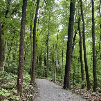 CHADWICK LAKE PARK - Updated December 2025 - 31 Photos & 11 Reviews ...