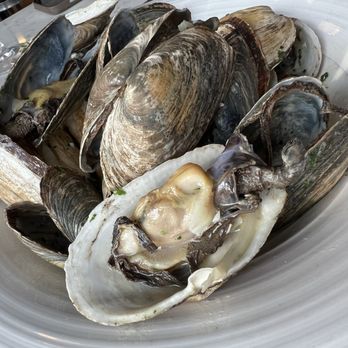 THE FISHERMAN AT LONG POINT - Updated August 2024 - 260 Photos & 286 ...