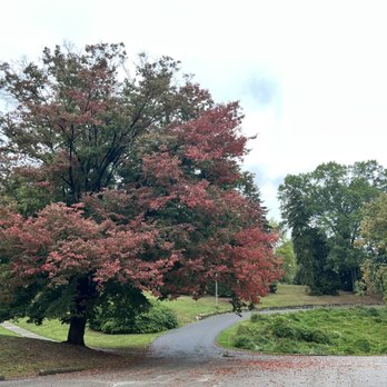 ALMS PARK - Updated December 2025 - 163 Photos & 37 Reviews - 710 ...