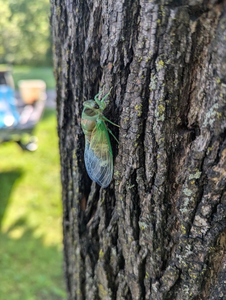 MOHICAN WILDERNESS - Updated October 2025 - 18 Photos & 24 Reviews ...