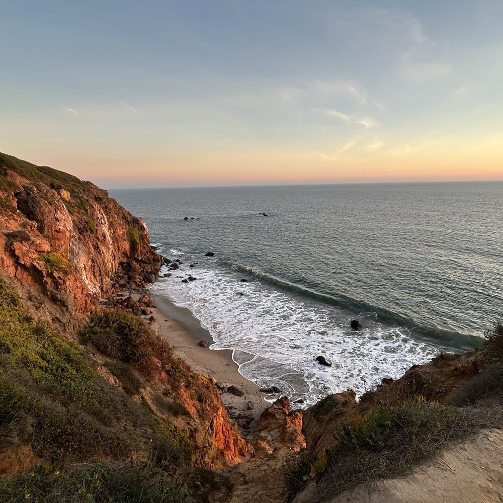 Zuma Beach Permite Perros