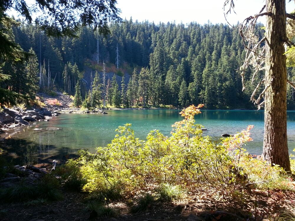 BUCK LAKE - Updated September 2025 - 14 Reviews - Buck Lake, Buck Lake ...