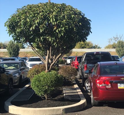 EXPRESSPARK SOUTH LOT - 34 Photos & 65 Reviews - 55 Industrial Hwy ...