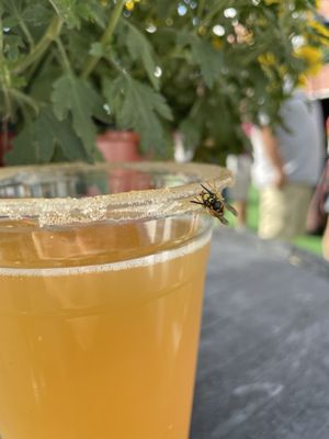 THE BIG E - Updated January 2026 - 1664 Photos & 343 Reviews - 1305 ...