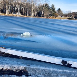 FUN CITY TRAMPOLINE PARK - Updated October 2024 - 22 Photos - 1277 ...