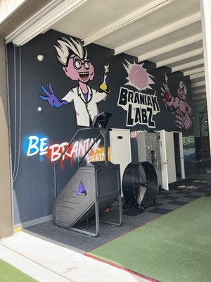BRANIAK GYM - Updated June 2026 - 11 Photos & 17 Reviews - 20625 ...