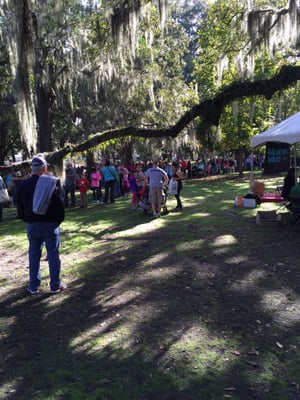 LIVE OAK PUBLIC LIBRARIES - Updated October 2025 - 22 Photos & 11 ...