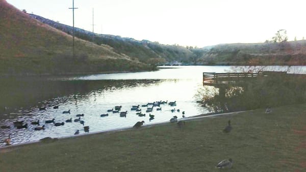 FIRST DAM PARK/CANYON ENTRANCE PARK - Updated October 2025 - US 89 ...