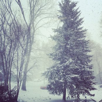 FLAGSTAFF PUBLIC LIBRARY - Updated October 2025 - 47 Photos & 18 ...