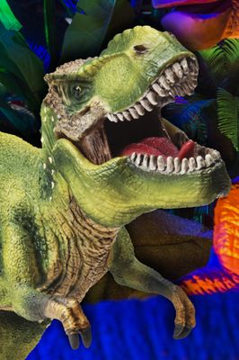 ARIZONA BOARDWALK - Updated December 2025 - 142 Photos & 41 Reviews ...