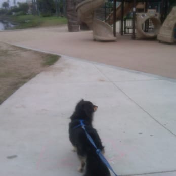 DEL REY LAGOON - Updated August 2025 - 123 Photos & 49 Reviews - 6660 ...