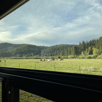 RIVER RANCH RV PARK - Updated September 2025 - 11 Photos - 42331 St Hwy ...